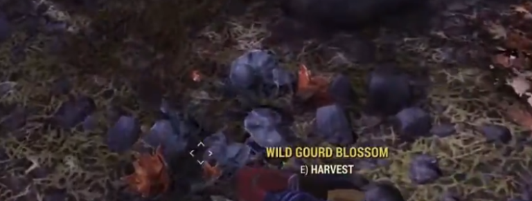 farm gourds – Fallout 76 Maps, Vaults, Vendors, Treasures and More ...